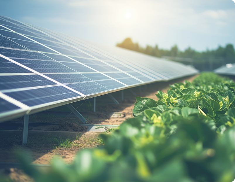 Solar Companies – Solar Near You – Sun First Solar